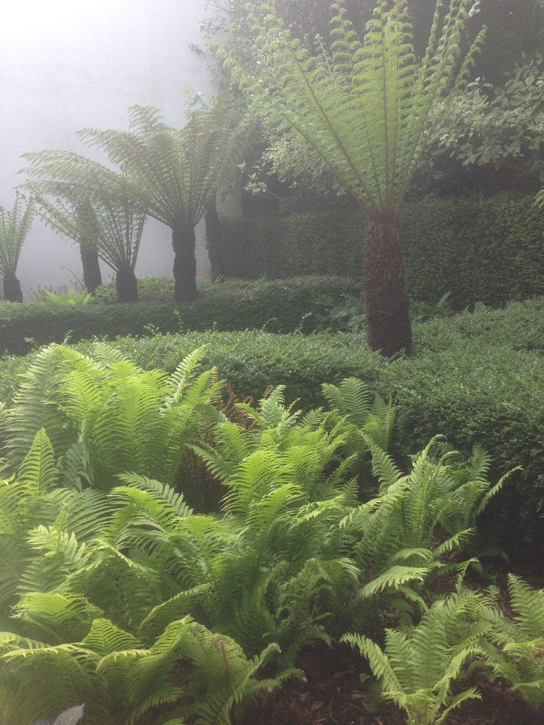 Petersham Open Gardens – gardenvisitoruk