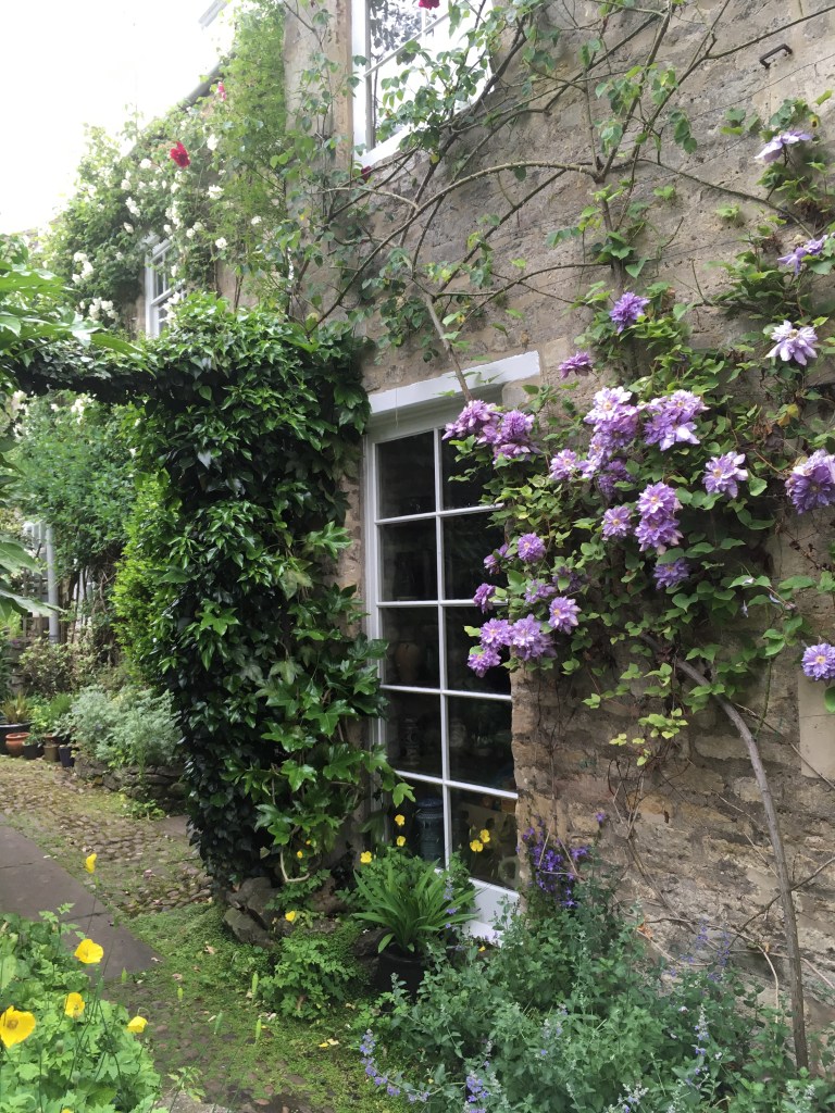 NGS festival weekend – two open gardens in Northamptonshire ...