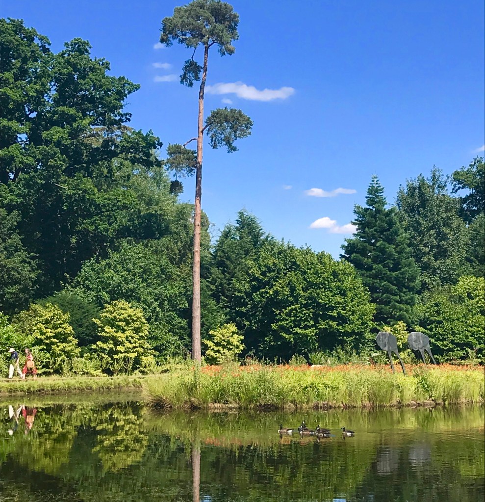 Pascal Cribier garden, Newbury, Berkshire – gardenvisitoruk