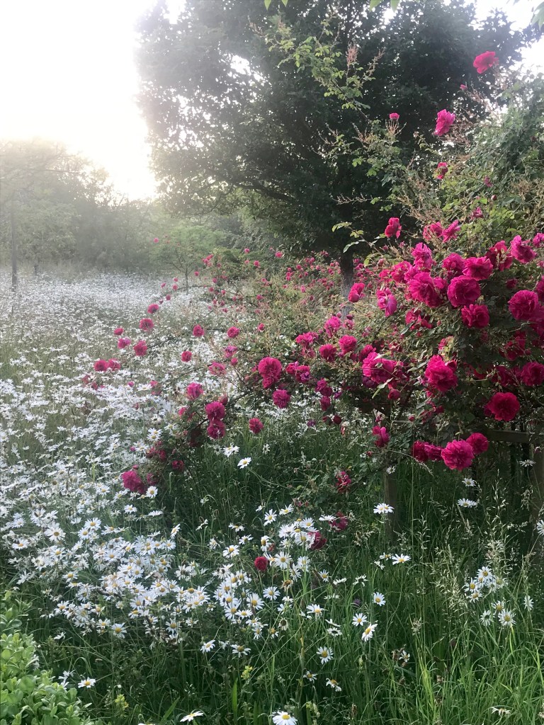 Rockcliffe, Gloucestershire – gardenvisitoruk